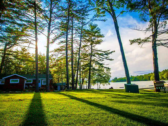 Lakeside cabins where the pine trees stand guard and memories are made without anyone checking their phones.