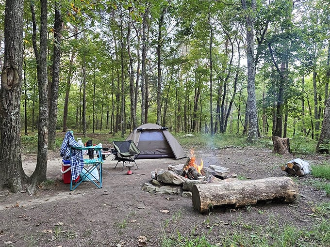 Camping perfection: tall trees overhead, crackling fire nearby, and not a Zoom meeting in sight. This is what "out of office" should look like.