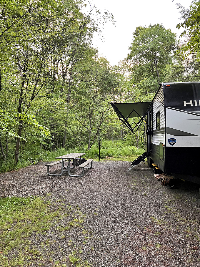 Modern camping: where "roughing it" means your RV might not get five bars of cell service among the whispering pines.