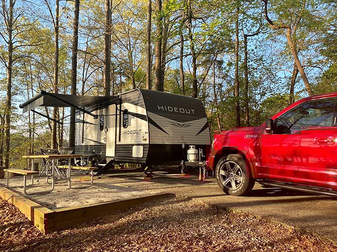 "Hideout" indeed – your personal retreat where marshmallow roasting and star-gazing replace Netflix and doom-scrolling.