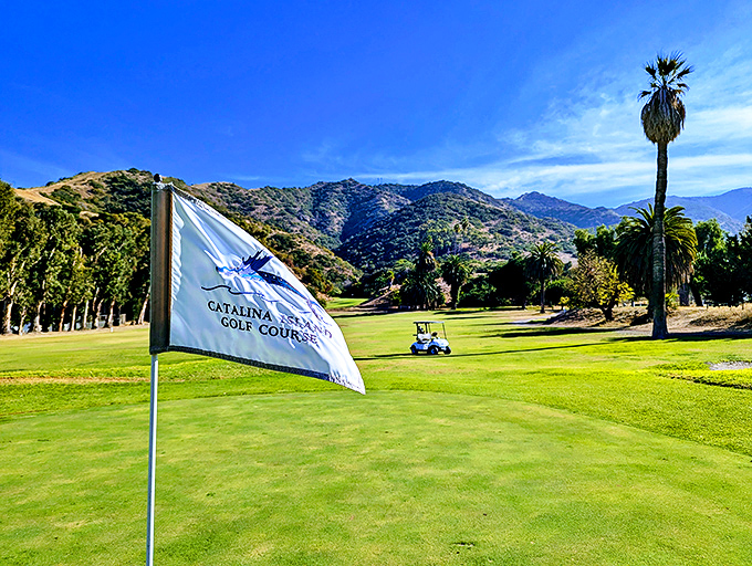 Catalina's golf course gives new meaning to a room with a view. That lone cart seems to be contemplating life's bigger questions.