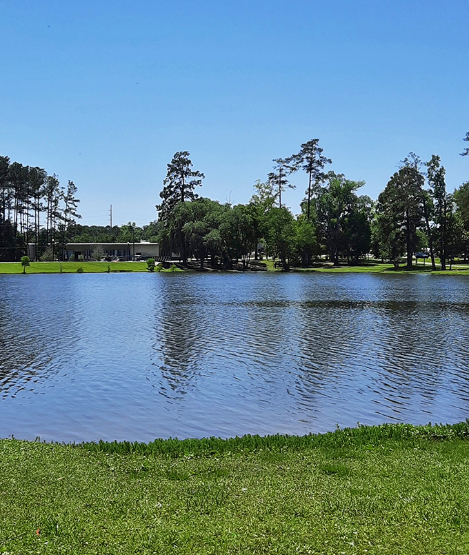 Cherokee Lake's glassy surface reflects Georgia's blue skies, creating a double dose of serenity just minutes from downtown's bustle.