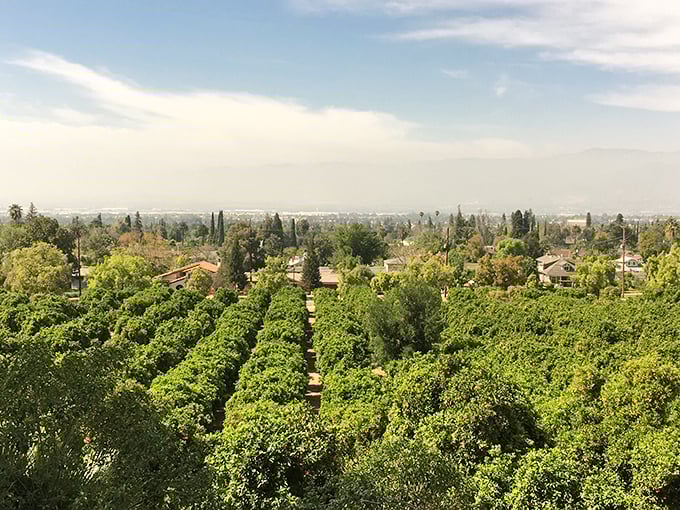 A panoramic view of the valley that explains why the wealthy of yesteryear chose these hills for their extravagant homes.