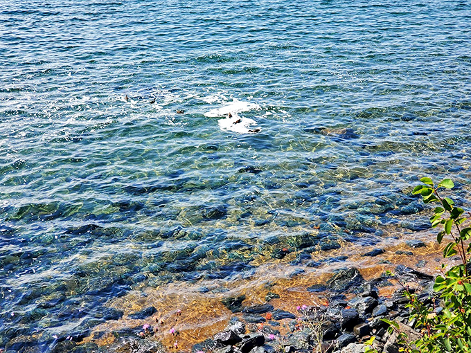 The water clarity at McCarty's Cove rivals the Caribbean. You can count pebbles through feet of water&mdash;Lake Superior's version of high-definition television. 