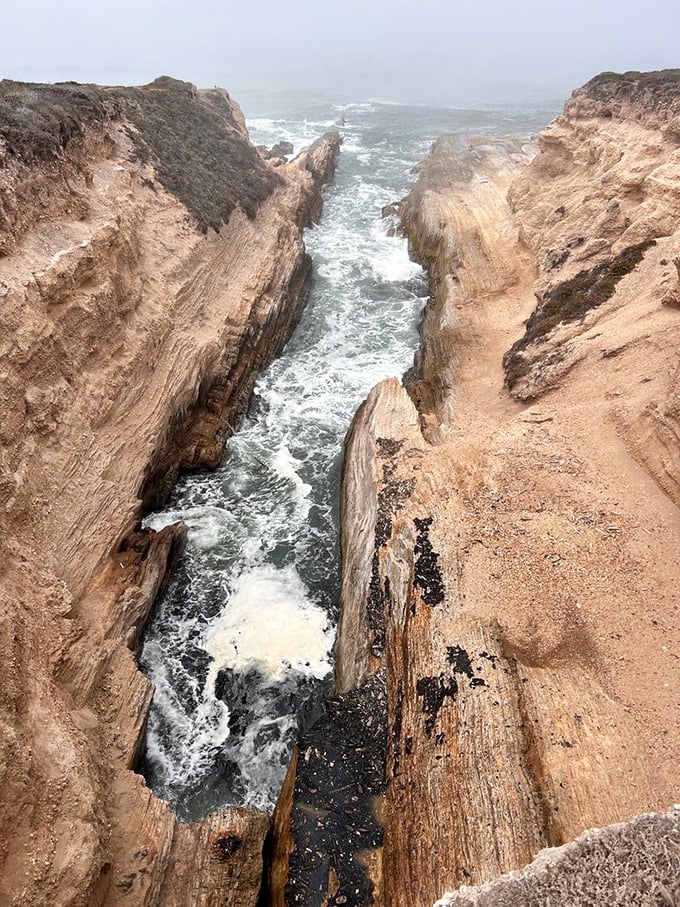 Nature's Grand Canyon in miniature. This dramatic channel has been carved by the patient persistence of water&mdash;the ultimate sculptor.
