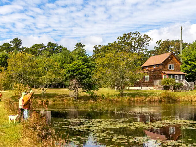 Cloverdale Farm County Park offers tranquil pond views and rustic cabins where time slows down and nature's soundtrack replaces your playlist.