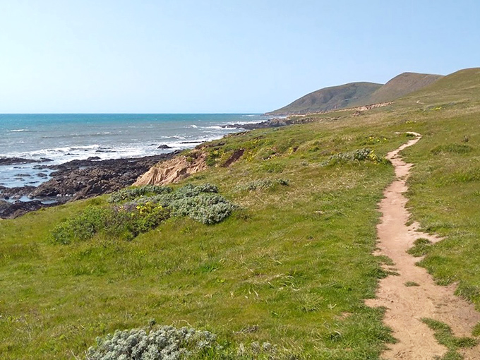The coastal trail hugs dramatic bluffs, offering hikers that perfect combination of "am I really here?" views and "please don't trip" excitement.