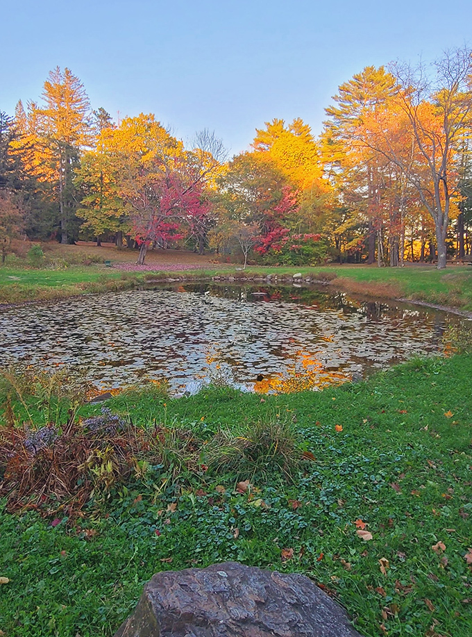 Fall foliage reflected in still waters creates nature's perfect mirror image&mdash;no filter needed for this authentic Maine moment at Coburn Park.