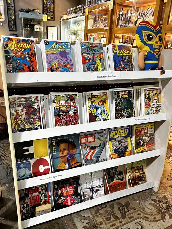 Comic book nirvana where Superman, Spider-Man, and childhood heroes wait patiently to be rescued and given a second life.