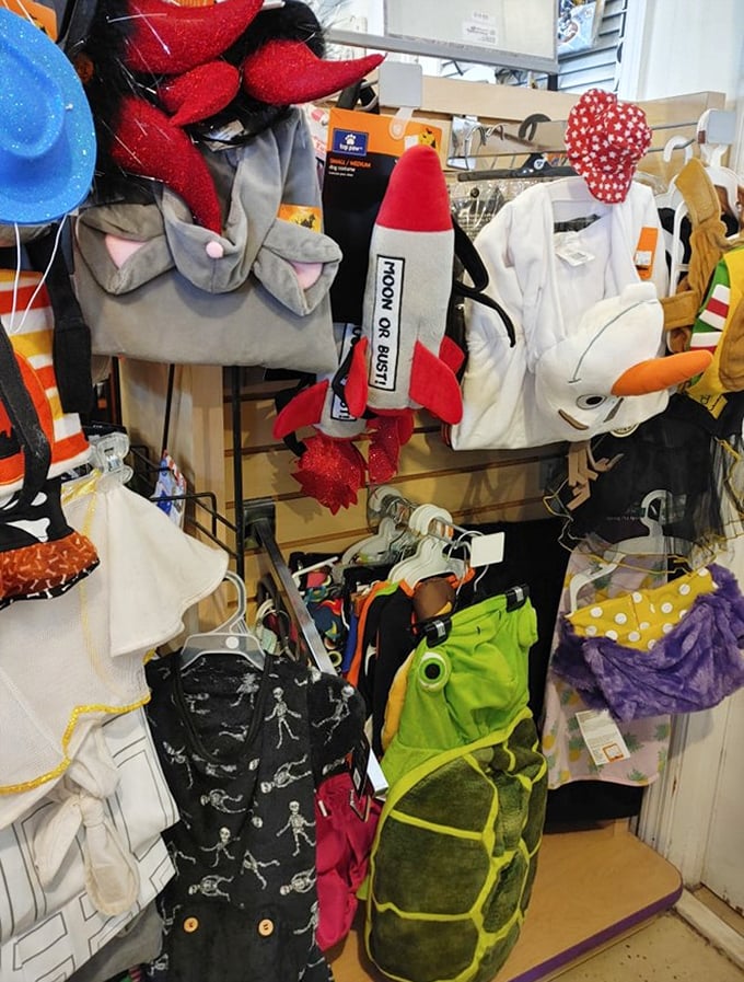 Halloween every day! These costumes and accessories are just waiting for their moment to shine at your next themed party or Tuesday afternoon grocery run.