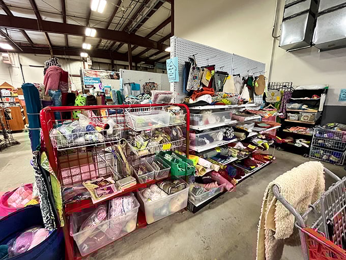 Organized chaos of crafting potential—bins of possibility waiting for creative Vermonters to transform them into something spectacular.