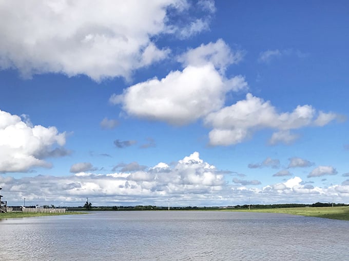 Crue Lake's serene waters reflect clouds that look like they were ordered from a Hollywood prop department&mdash;nature showing off for Harrisburg residents lucky enough to call this view home.