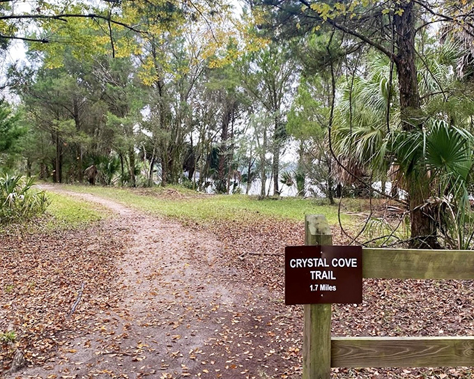 Crystal Cove Trail: 1.7 miles of Florida's finest therapy session, no appointment or insurance approval required.
