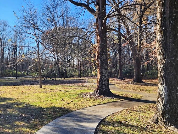 Morning light transforms the park's pathways into an invitation to explore, where every curve promises new discoveries among ancient trunks.