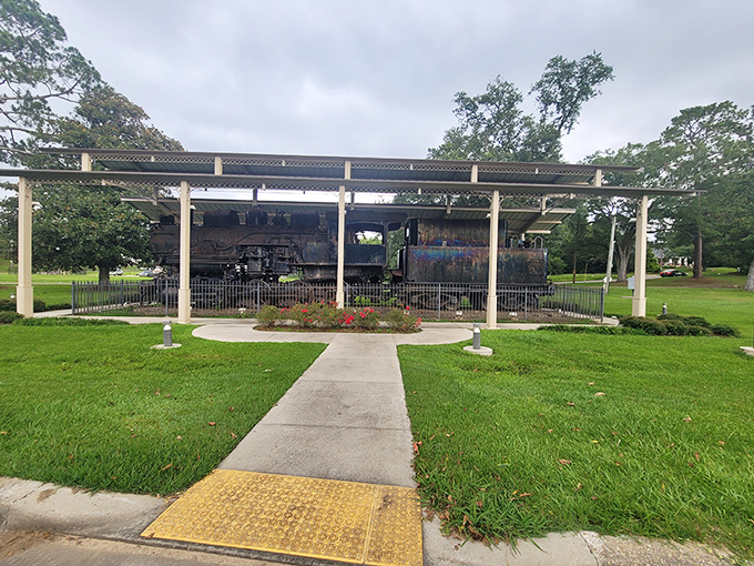 This preserved locomotive stands as a steel monument to Laurel's industrial heritage, when timber and trains built Mississippi's fortune.