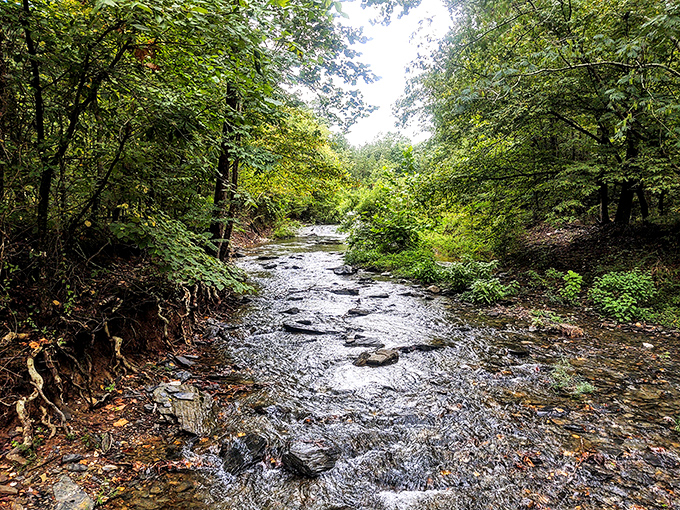 Crystal-clear streams wind through forested trails, offering nature's version of meditation &ndash; no app or subscription required.