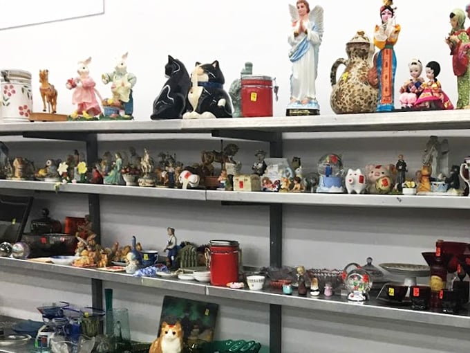 A ceramic menagerie that would make Wes Anderson jealous – each figurine silently competing to be the quirkiest addition to your bookshelf.