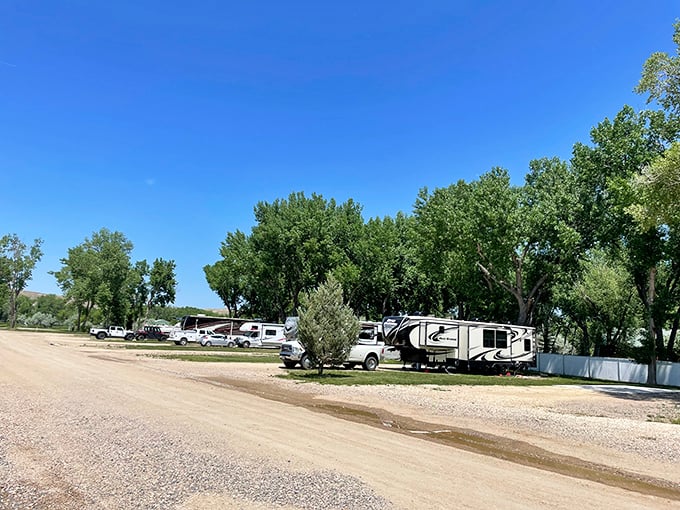 RV heaven under cottonwood shade &ndash; where snowbirds rest their wings and swap stories over morning coffee.