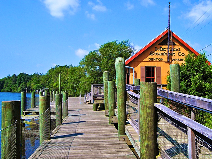 The historic Denton Steamboat Wharf recalls the town's river-trading past, now offering peaceful strolls where steamboats once bustled.
