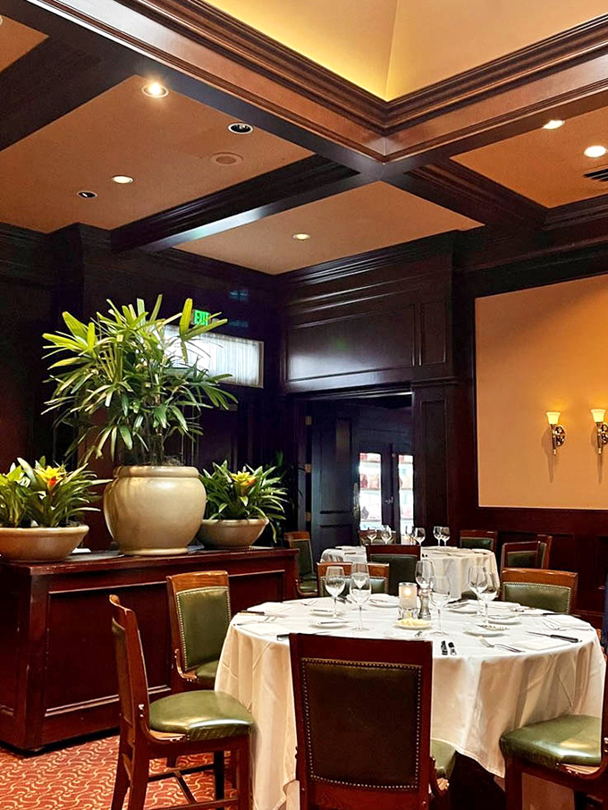 Plants and pristine table settings create an oasis of civility&mdash;this isn't just dinner; it's a retreat from the world outside.