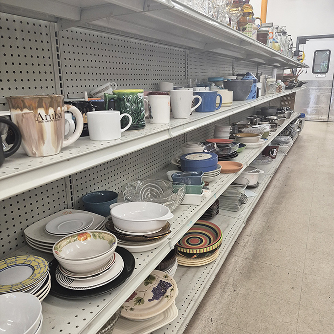 Dish-covery zone! Every plate tells a story, from grandma-worthy china to practical everyday dinnerware ready for new kitchen adventures.