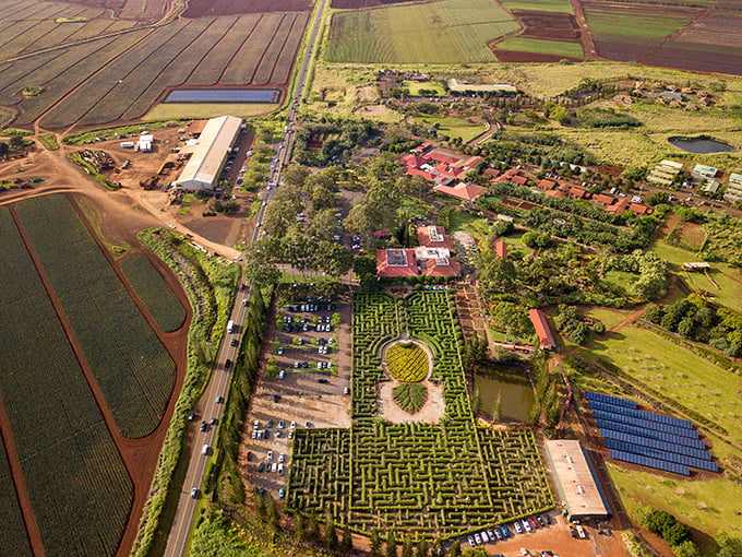 This aerial view of Dole Plantation's famous garden maze proves that getting lost can sometimes be the whole point of the journey.