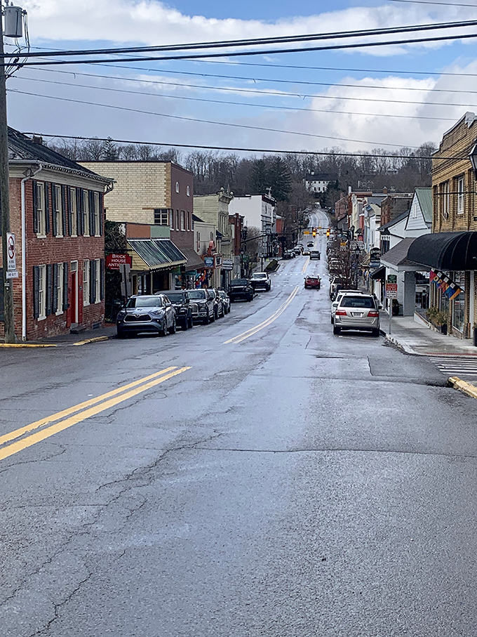 Winter in Lewisburg transforms the historic downtown into a quieter, more contemplative version of itself—equally charming under gray skies.