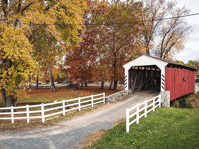 Fall foliage creates nature's perfect frame. When the leaves match the bridge, you know you've hit the Pennsylvania jackpot.
