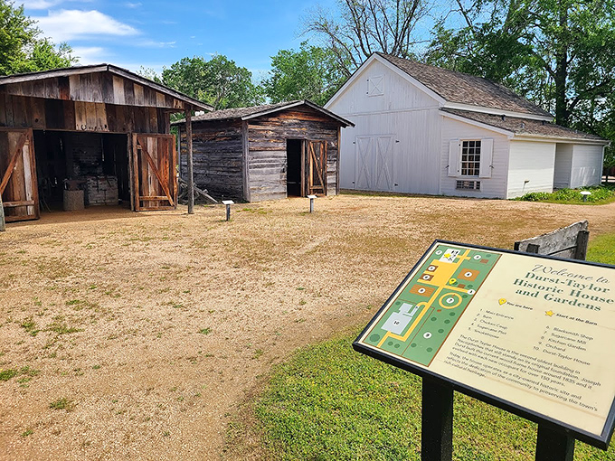 History comes alive at Durst-Taylor House and Gardens, where outbuildings and exhibits showcase early Texas farming and domestic life.