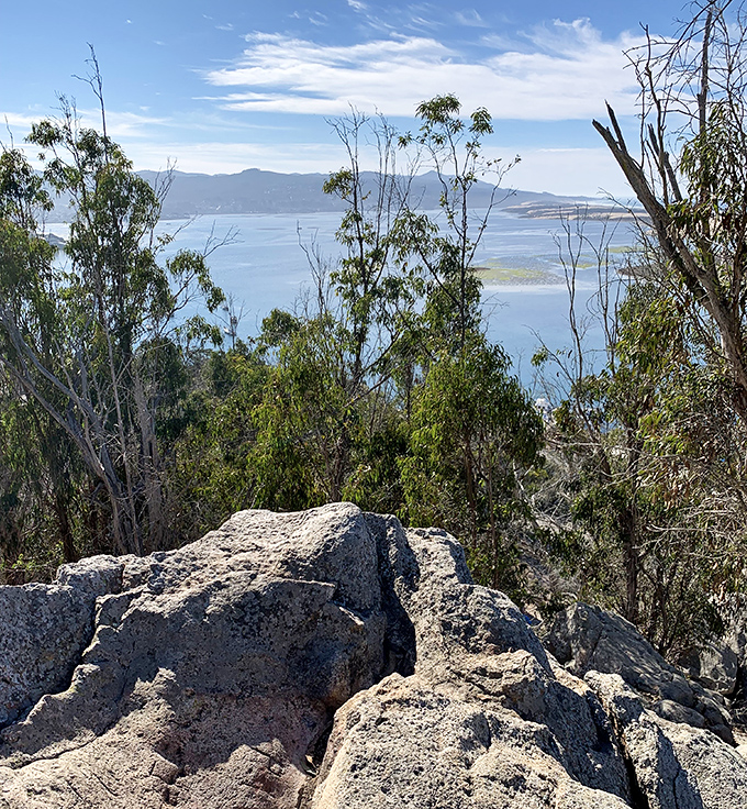 Eagle Rock provides a natural observation deck where the bay's geography unfolds below, rewarding hikers with panoramic vistas worth every step.