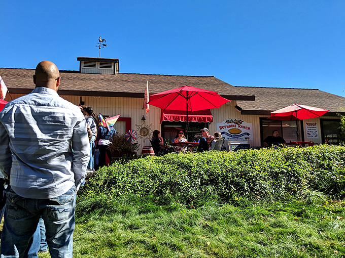 Red umbrellas and country hospitality at Bodhaine Ranch. Where lunch comes with a side of Sierra foothill breezes.