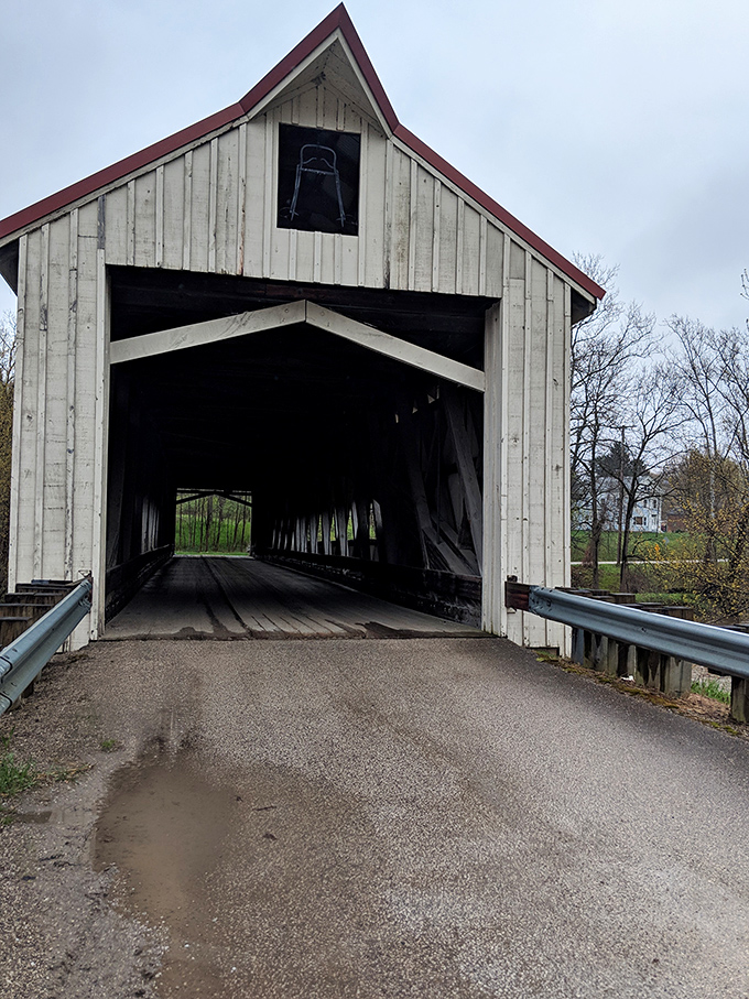 Driving by offers a perfect profile view, the bridge's clean lines and practical beauty a reminder that functional doesn't have to mean forgettable.