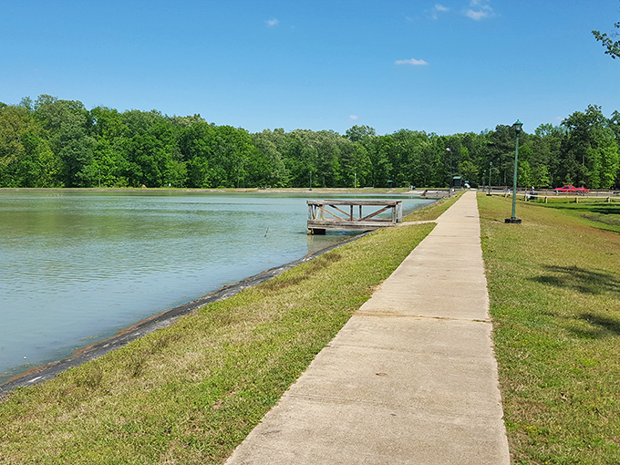 Fair Park's serene waters and walking path offer the perfect antidote to doomscrolling. Nature's version of a digital detox.