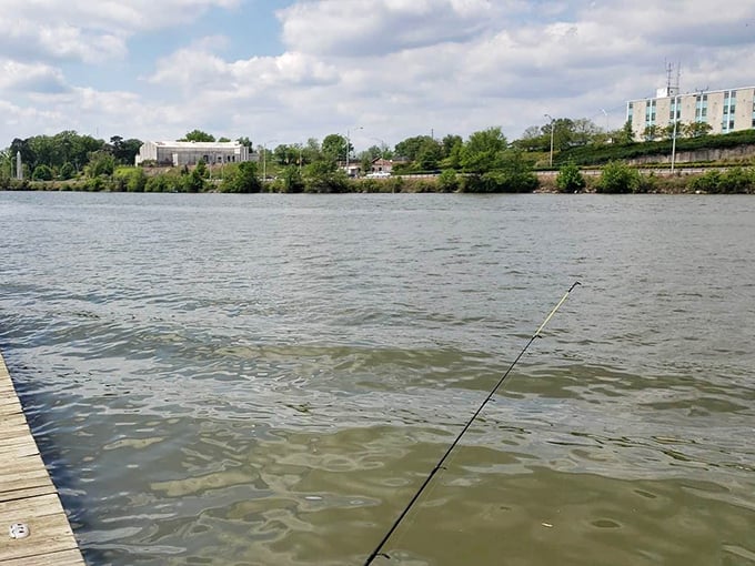 A fishing line breaks the Coosa River's surface, where patience meets possibility and dinner is just a lucky cast away.