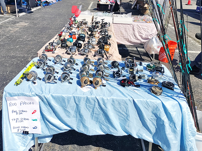 Fishing gear spread across blue horizons of possibility. Each reel a promise of "the big one" that definitely won't get away this time (wink, wink).