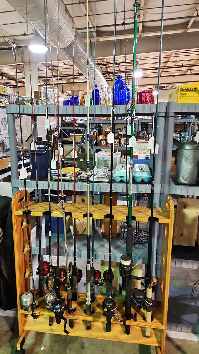 Fishing poles standing at attention, ready for their next adventure. Each one has a fish story attached—some of them might even be true!