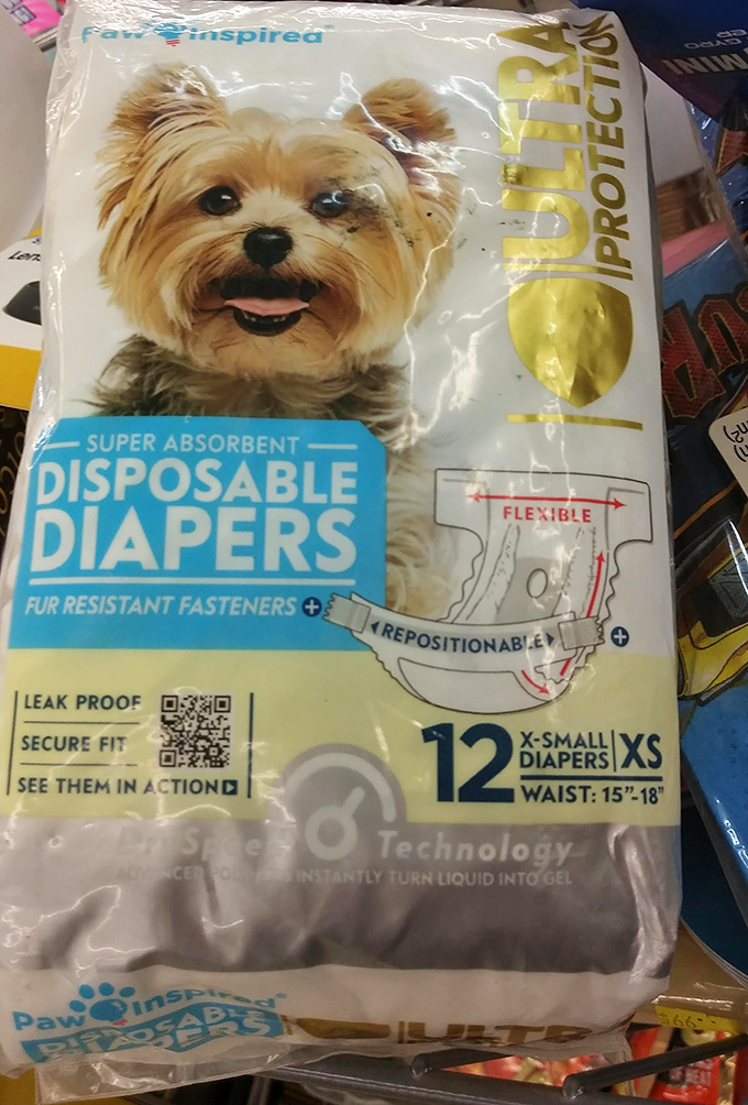 Even Fido gets the thrift treatment! These unused pet supplies prove that bargain hunting has officially gone to the dogs.