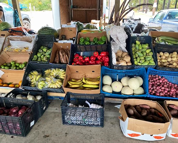 A produce paradise of practical proportions, where budget-conscious shoppers fill bags with nature's rainbow of nutrition.