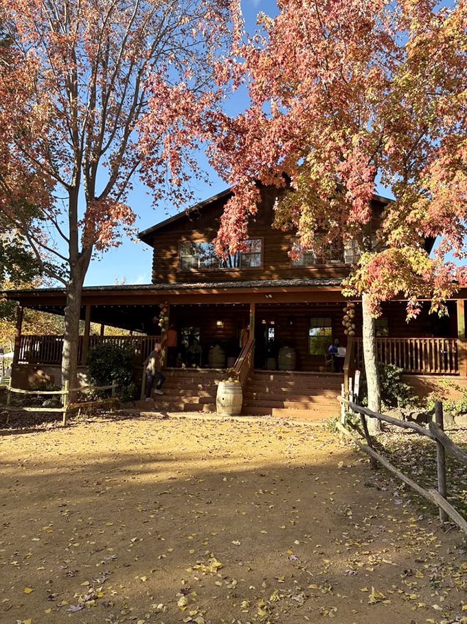 Fall foliage frames the lodge like nature's Instagram filter, proving Arizona does seasons with surprising flair.