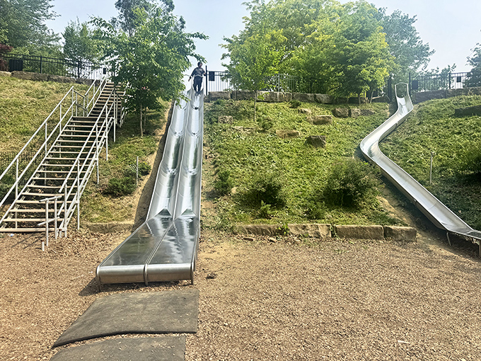 Frontier Park's slides offer what might be the most honest form of transportation&mdash;you know exactly where you're going, and gravity does all the work.