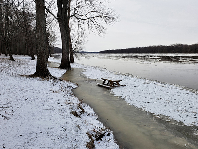 Winter reveals Harmonie's dramatic side, where half-submerged picnic tables remind us that nature always has the final word.