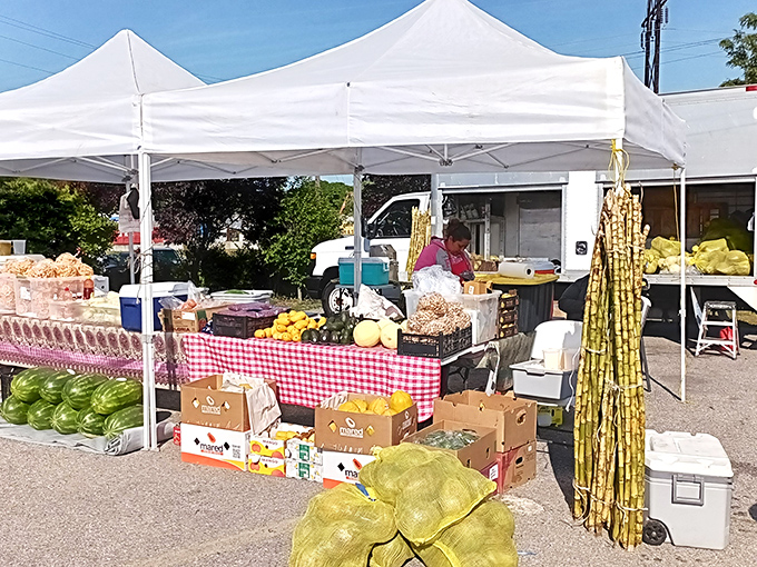 Fresh produce meets flea market magic. Those sugar canes standing tall like nature's candy bars are a sweet bonus to your bargain hunting.