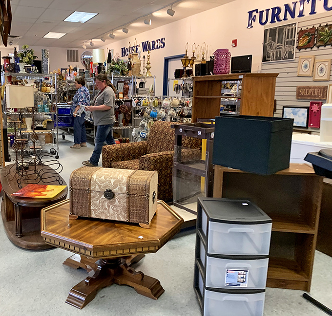 The furniture section where mismatched pieces somehow create their own aesthetic that interior designers would call "curated eclectic." 