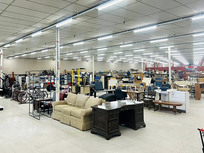 Furniture that could tell stories if it could talk. That sofa has probably witnessed everything from first dates to Netflix marathons.