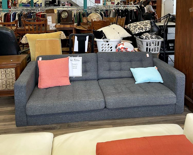 "Is that West Elm?" you'll wonder, eyeing a perfectly good sofa that costs less than your last fancy dinner in the city.