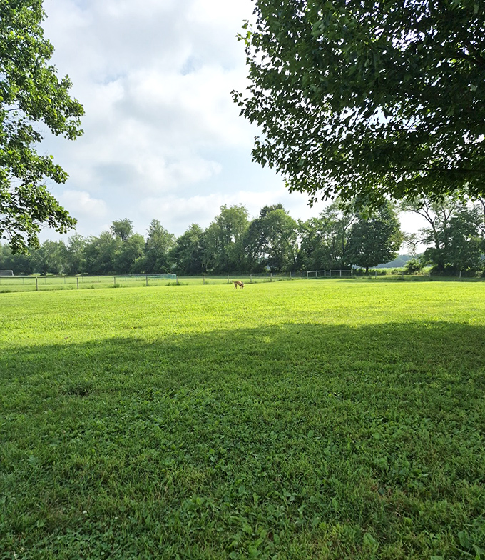 This expansive green space isn't just a lawn &ndash; it's nature's invitation to kick off your shoes and remember what grass feels like between your toes.