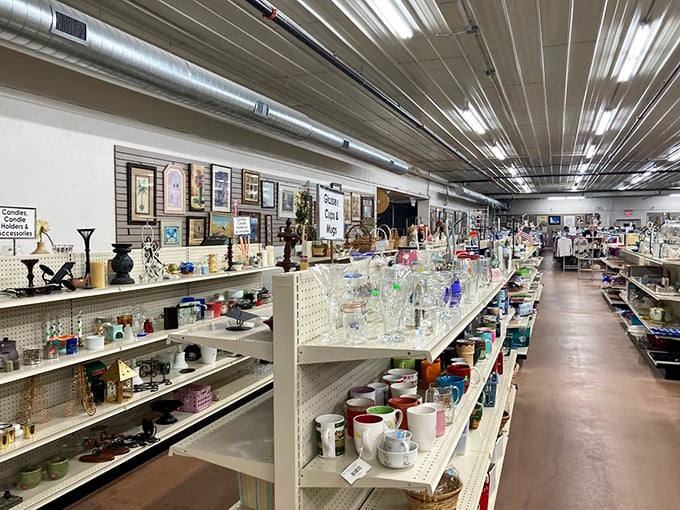Mugs and glassware line up like eager contestants on a dating show, each one hoping you'll take it home to meet your kitchen cabinet.