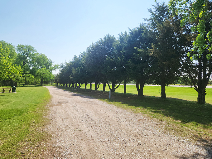Tree-lined drives offer natural canopies that make summer strolls actually pleasant instead of exhausting endurance tests.