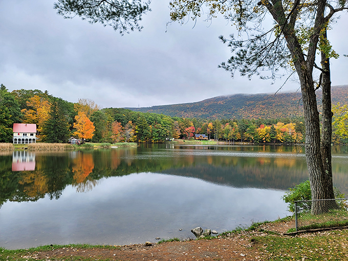 Mirror-perfect reflections double the autumn splendor at Windsor Lake, where city dwellers find serenity just minutes from downtown's artistic energy.