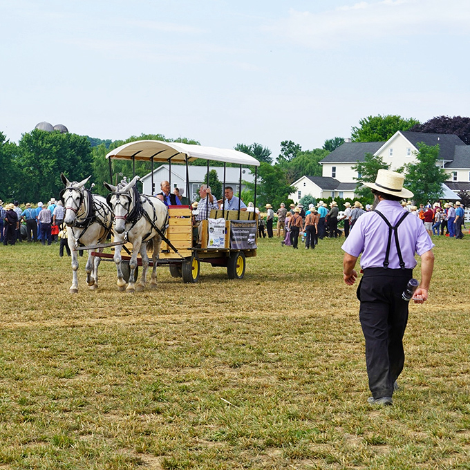 Horse Progress Days isn't just an event &ndash; it's a living demonstration of agricultural techniques that have stood the test of time.